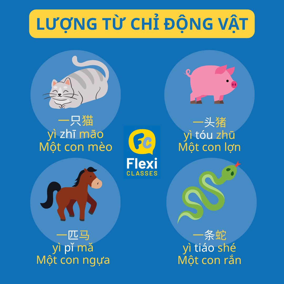 100+ Lượng từ tiếng Trung thông dụng + Cách dùng chi tiết