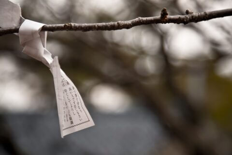 Omikuji || Interpret your fortune in traditional Japanese way