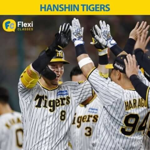 Your Guide to Baseball in Japan ⚾ Culture & Popular Teams