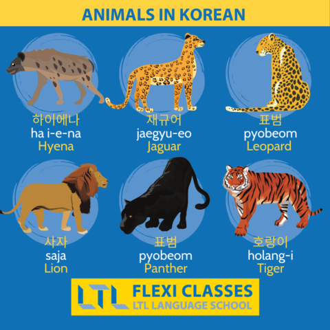 Animals in Korean (170+) // The Ultimate Guide + Flashcards & Quiz