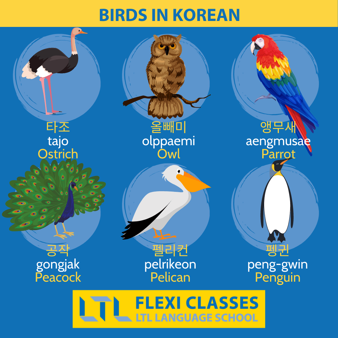 Animals in Korean (170+) // The Ultimate Guide + Flashcards & Quiz