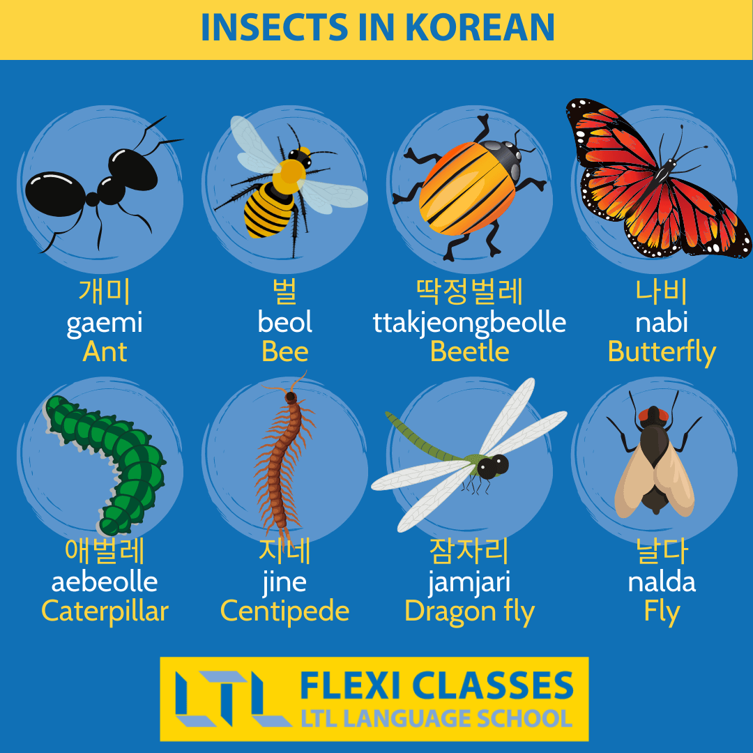 Animals in Korean (170+) // The Ultimate Guide + Flashcards & Quiz