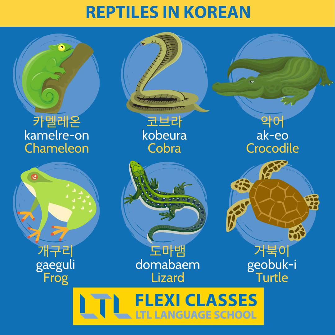 Animals in Korean (170+) // The Ultimate Guide + Flashcards & Quiz