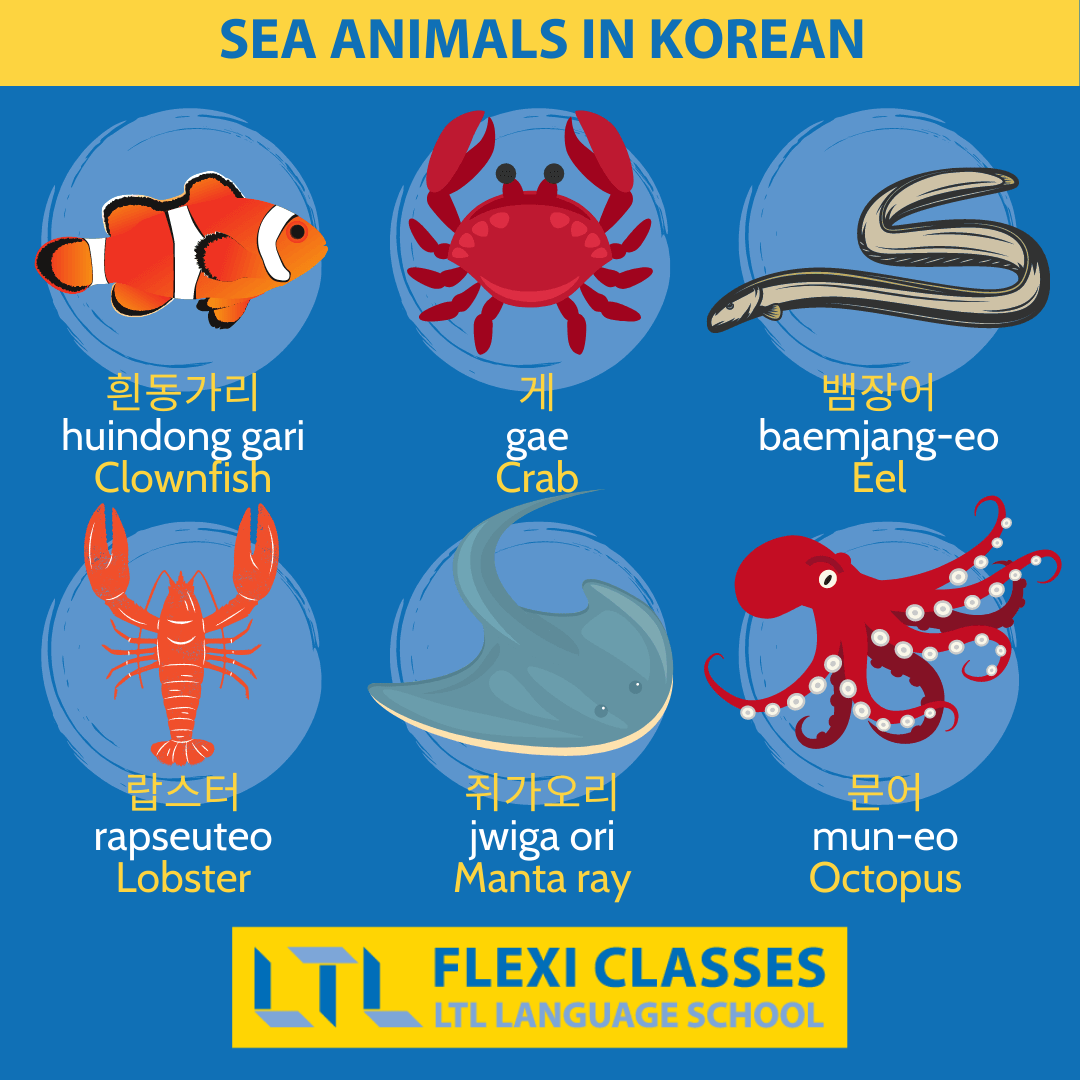 Animals in Korean (170+) // The Ultimate Guide + Flashcards & Quiz