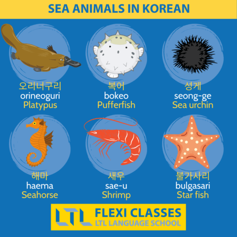 Animals in Korean (170+) // The Ultimate Guide + Flashcards & Quiz