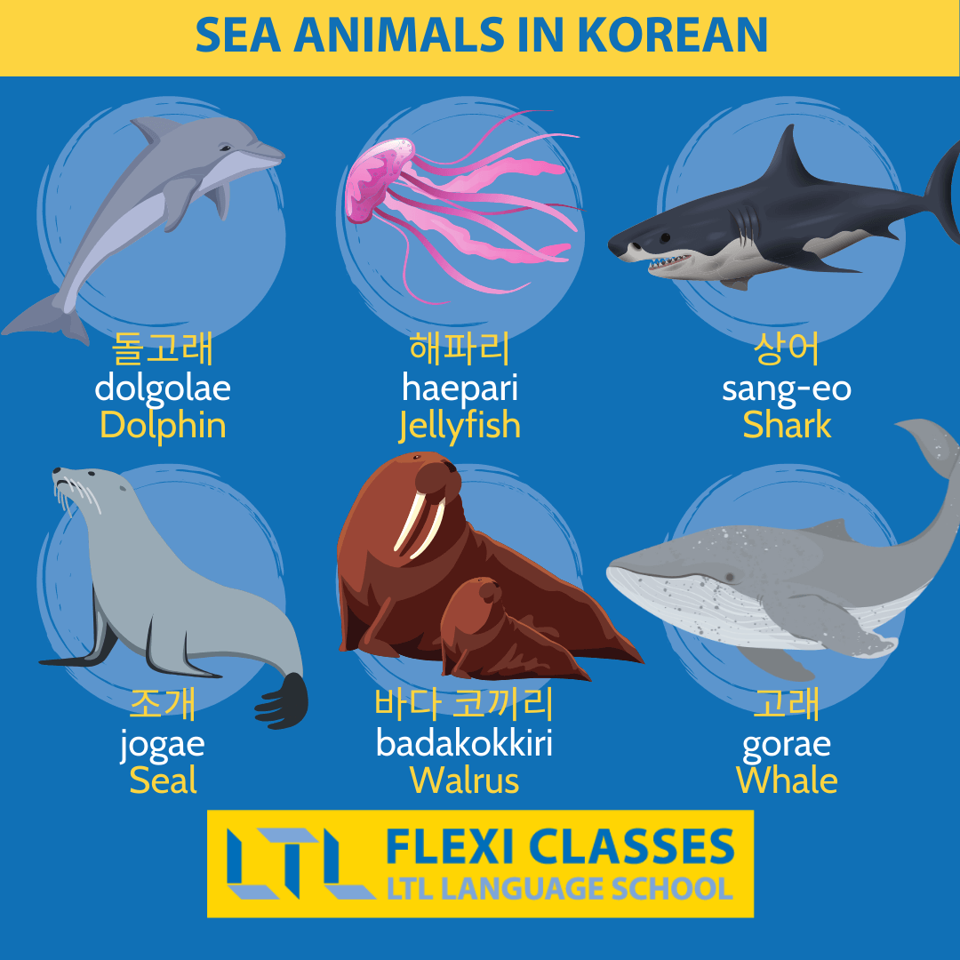 Animals in Korean (170+) // The Ultimate Guide + Flashcards & Quiz