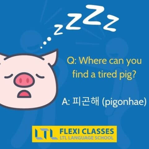 Korean Jokes // 29 Korean Dad Jokes to Make Your Friends Laugh