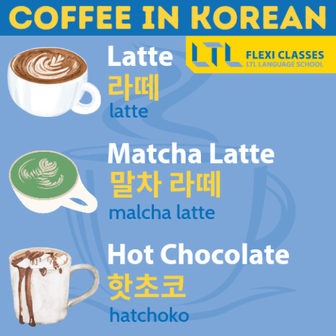 Coffee in Korean ☕️ Must-Know Vocab and Phrases