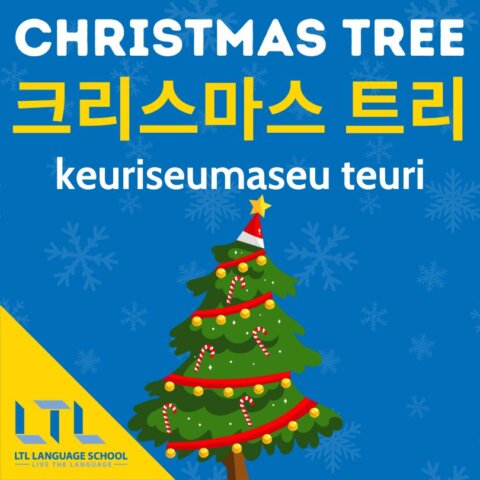How to Say Merry Christmas in Korean🎄Key Vocab & Phrases