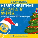 How to Say Merry Christmas in Korean🎄Key Vocab & Phrases