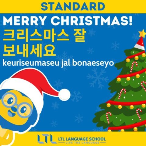 How to Say Merry Christmas in Korean🎄Key Vocab & Phrases