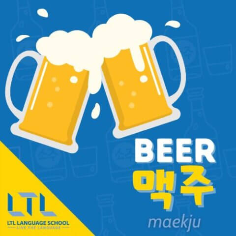Korean Drinking Culture || Your Ultimate Guide