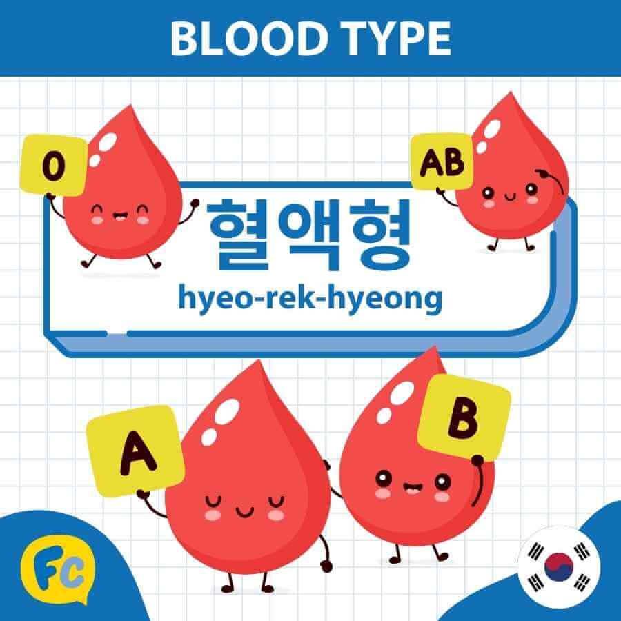 Korean Blood Type Personality: What Your Blood Says About You