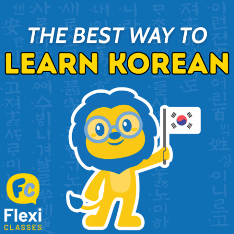 The Best Way to Learn Korean || Our 10 Step Guide