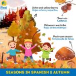 Seasons in Spanish || All Four Seasons PLUS Cultural Insights