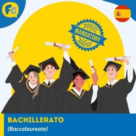 School in Spanish, Different Terms for Different Stages