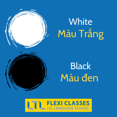 Colors in Vietnamese // 23 Colors + Their Meanings (& FREE Quiz)