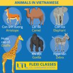 170+ Animals in Vietnamese 🦁 // Ultimate Vocab Guide & QUIZ