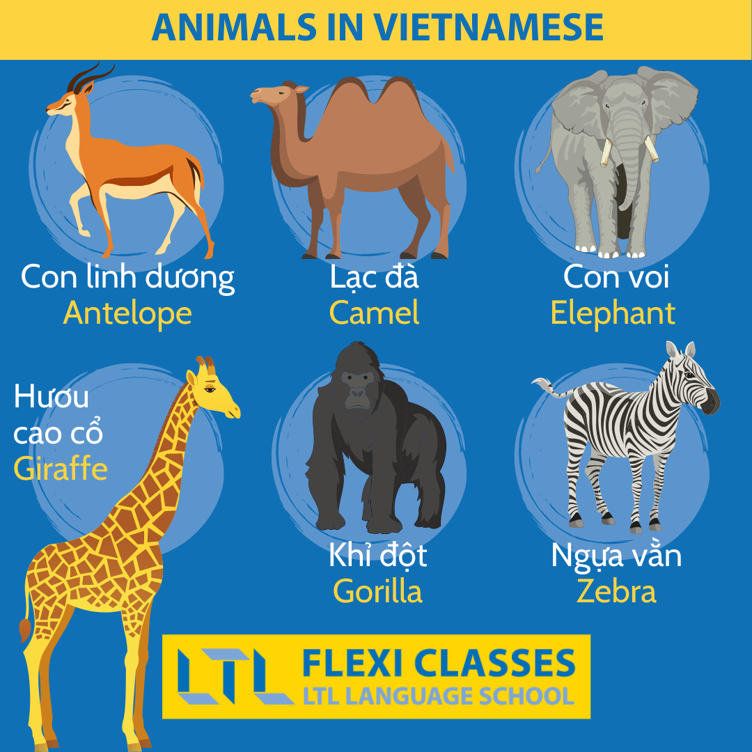 170+ Animals in Vietnamese 🦁 // Ultimate Vocab Guide & QUIZ