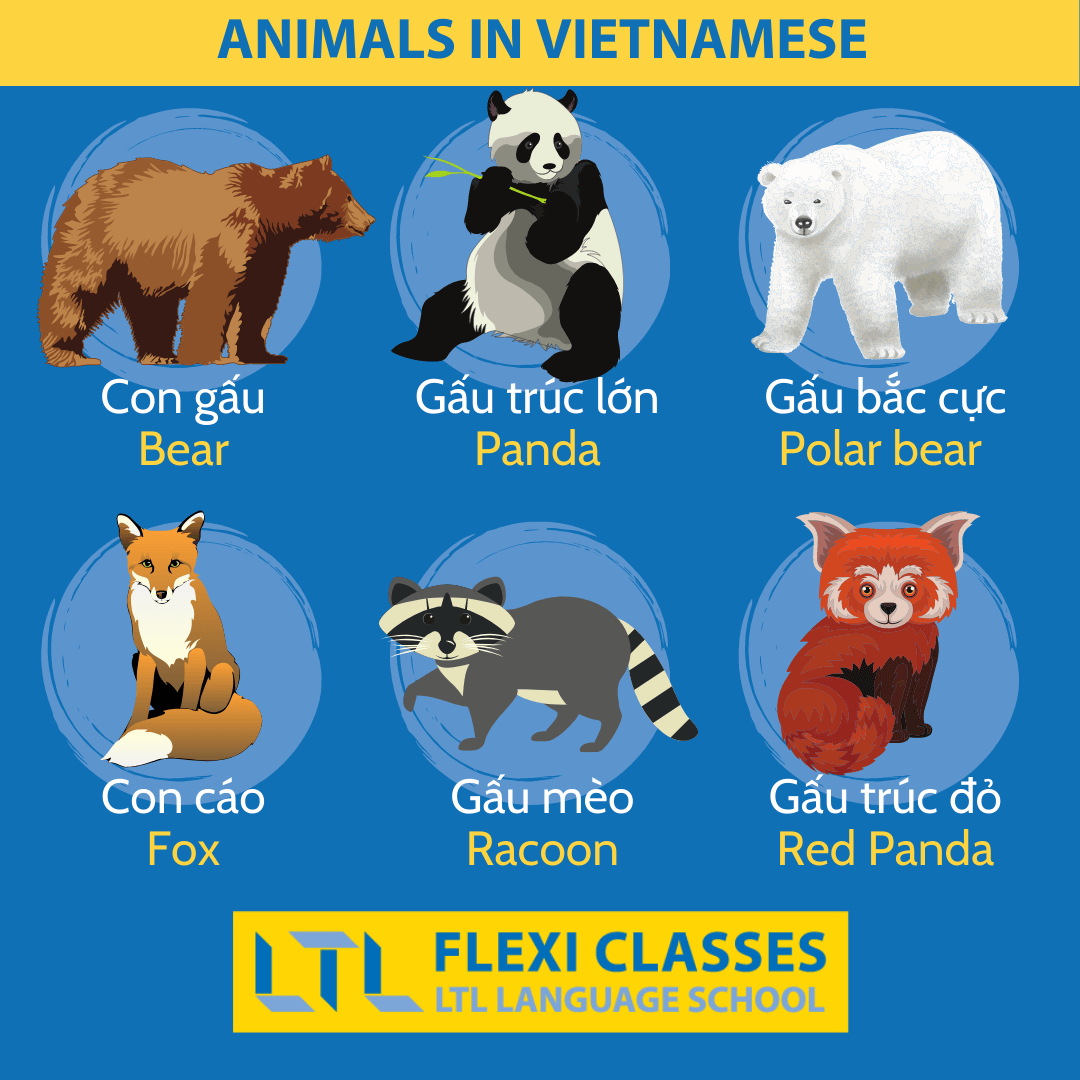 170+ Animals in Vietnamese 🦁 // Ultimate Vocab Guide & QUIZ
