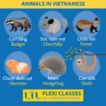 170+ Animals in Vietnamese 🦁 // Ultimate Vocab Guide & QUIZ
