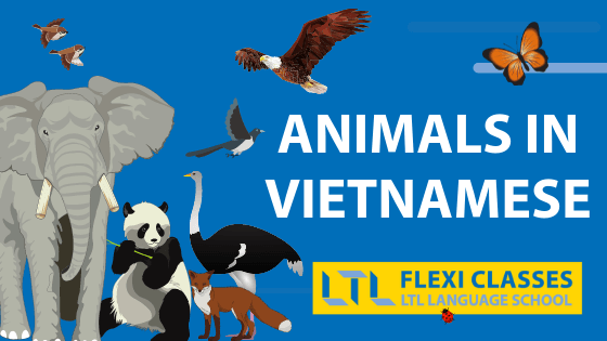 Most Common Vietnamese Words | Top 100 Words You Need To Know