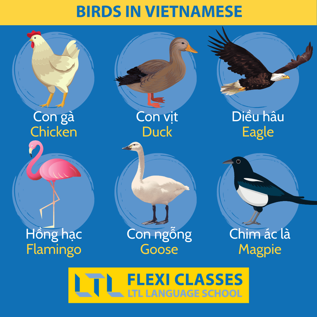 170+ Animals in Vietnamese 🦁 // Ultimate Vocab Guide & QUIZ