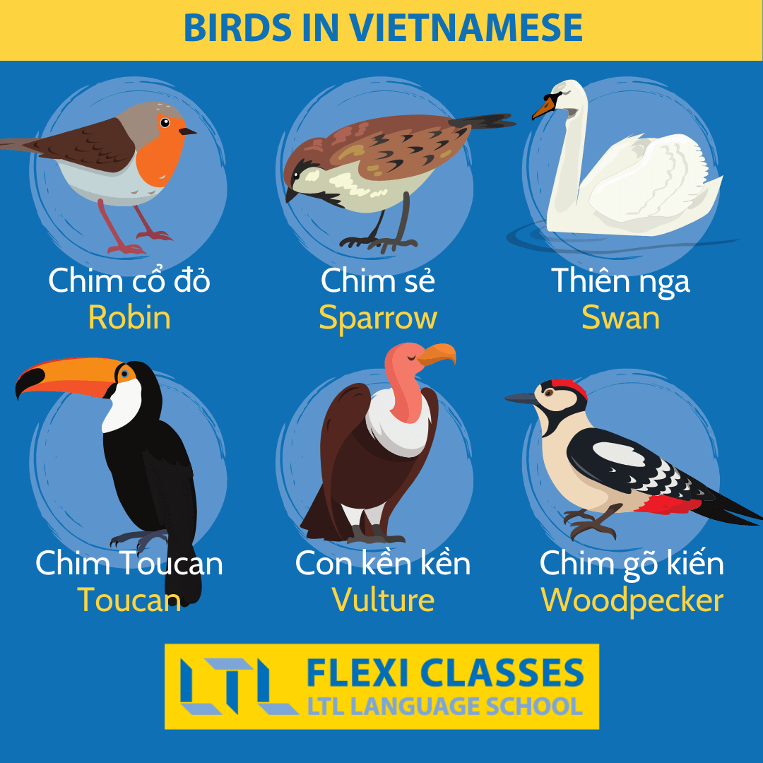 170+ Animals in Vietnamese 🦁 // Ultimate Vocab Guide & QUIZ