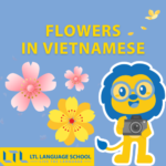 49 Flowers in Vietnamese || Vocabulary & Symbolism