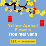 49 Flowers in Vietnamese || Vocabulary & Symbolism